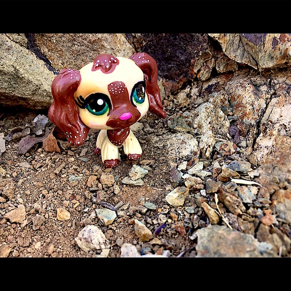 Littlest Pet Shop | Toys | Lps Custom Cocker Spaniel | Poshmark